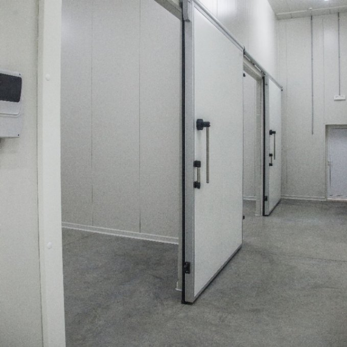 How to Minimize Operational Disruption During Freezer Floor Maintenance